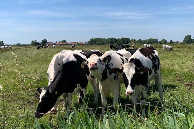 Amsterdam Countryside Bike and Kayak Tour - Tips for Participants