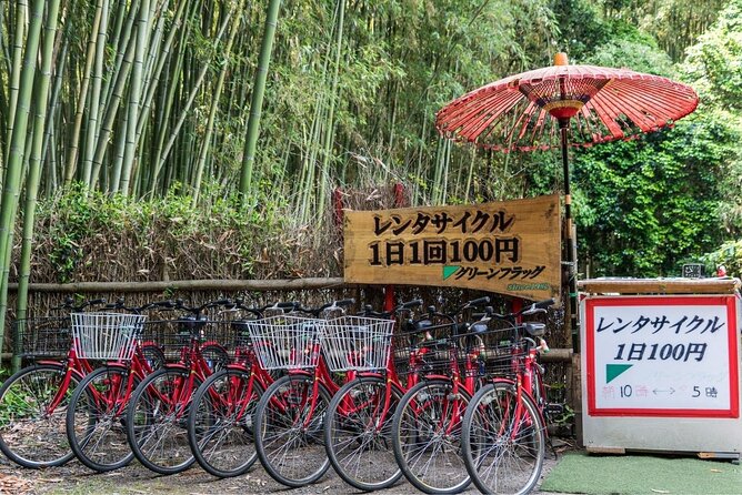 Arashiyama Bamboo Grove Day Trip From Kyoto With a Local: Private & Personalized - Guest Experiences and Reviews