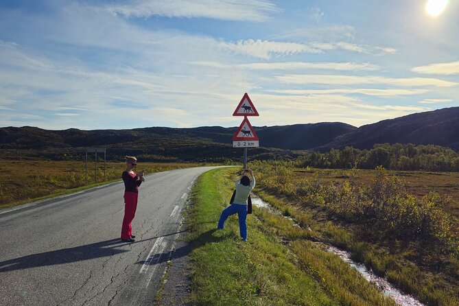 Arctic Wildlife and Fjord Sightseeing - Guides and Customer Feedback