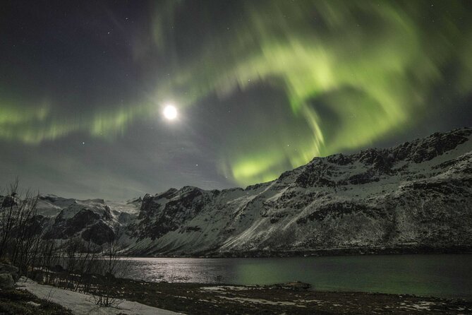 Aurora Chase With Professional Photographers (Northern Lights) - The Sum Up