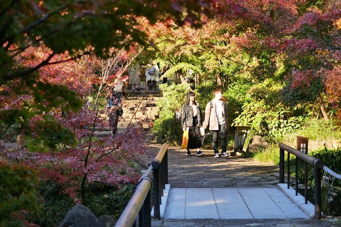 Autumn Leaves Private Tour in Nagoya - Exploring Nagoyas Autumn Splendor