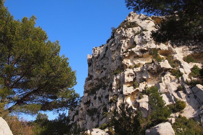 Avignon, Les Baux, St Remy and Arles From MARSEILLE - Exploring Arles: Van Goghs Footsteps