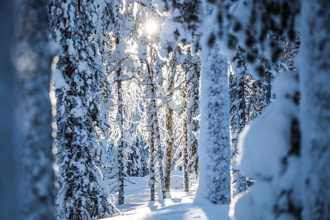 Backcountry Skiing Adventure - Booking Information and Cancellation Policy