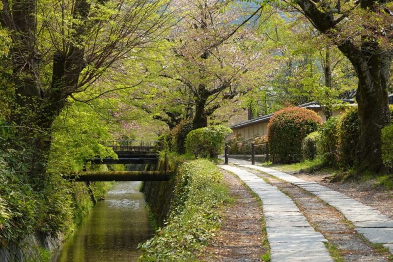 Bamboo Artistry & Zen Serenity: Tranquility With Ginkaku-Ji - Embracing the Zen Essence of Kitayama