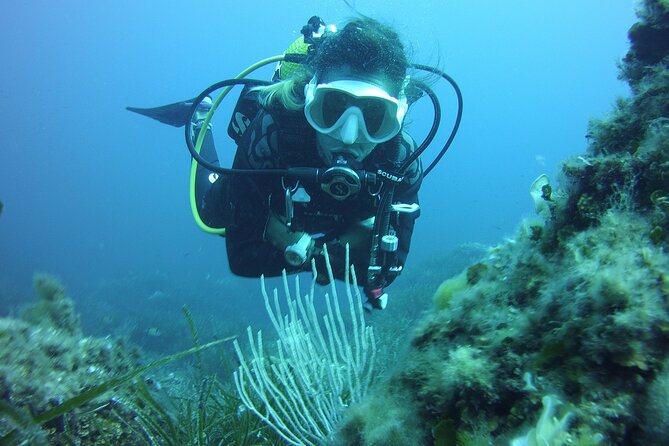 Baptism in the Northern Marine Reserve of Menorca - Booking Process and Pricing