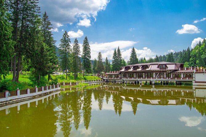 Bears Sanctuary, Dracula Castle and Poiana Brasov-Private Day Tour From Brasov - Traveler Experience and Testimonials