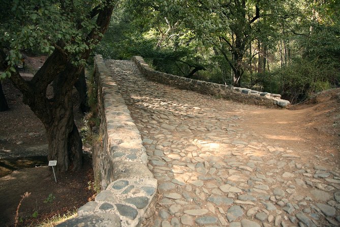 Beauty, Nature and Charm of Troodos Mountains From Paphos - Culinary Delights: Lunch in the Mountains