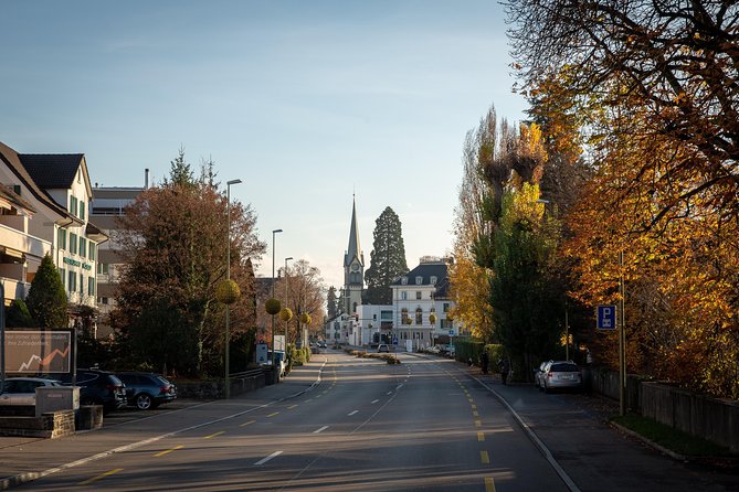Best of Zurich Tour With Felsenegg Cable Car and Ferry Ride - Inclusions and Practical Information