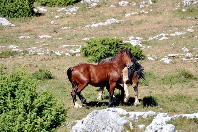 Biokovo Skywalk - Eco-Friendly Practices