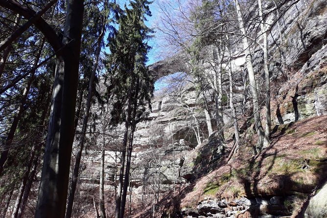 Bohemian and Saxon Switzerland National Park Day Trip From Dresden - Reviews and Recommendations