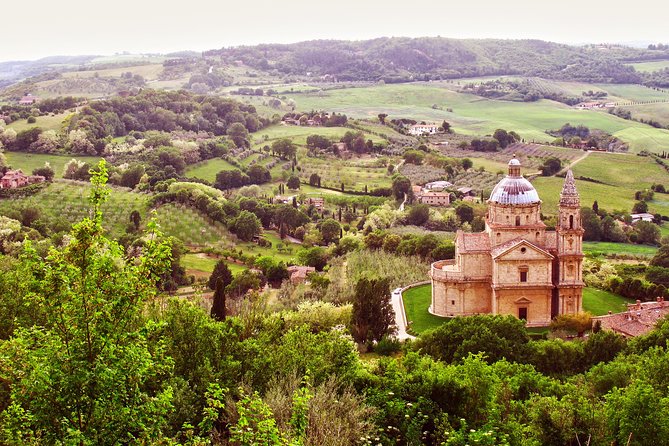 Brunello and Nobile, Wine Lover Tour Montalcino and Montepulciano - Lunch and Wine Pairing