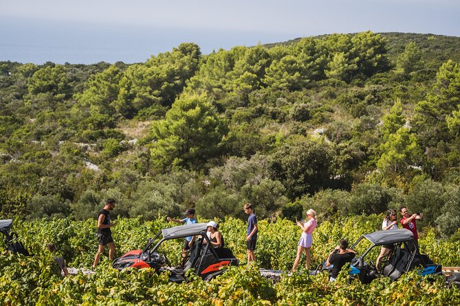 Buggy Safari With Wine Tasting - Meeting and Pickup Arrangements