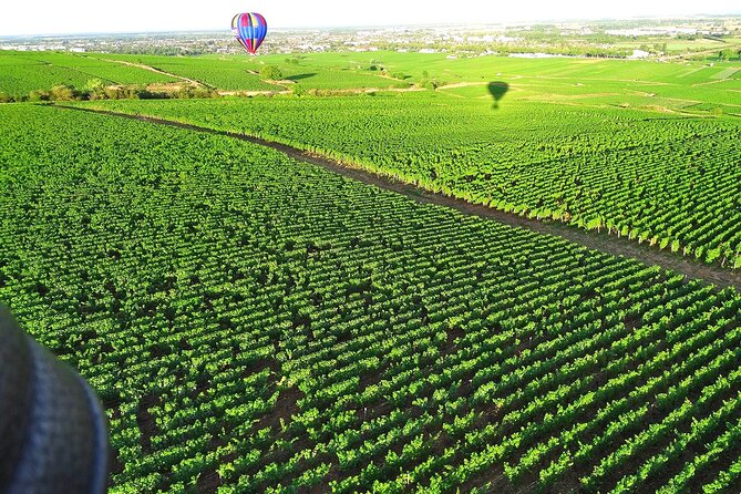 Burgundy Hot-Air Balloon Ride From Beaune - Customer Reviews and Feedback