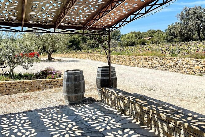 Cellar Visit & Bandol Wine Tasting - Navigating the Logistics: Meeting Point and Transportation
