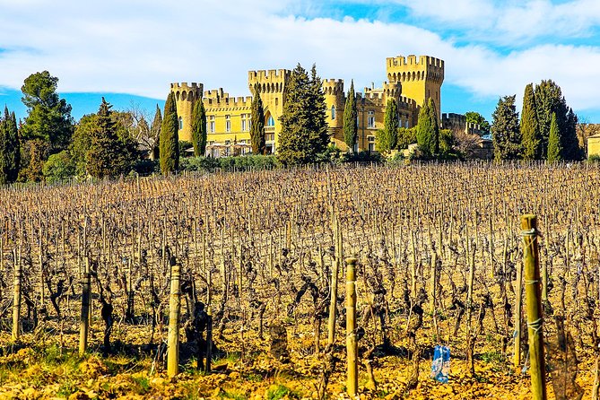 Châteauneuf Du Pape Intensive Vineyard & Fine Wine Experience - Accessibility and Logistics for a Memorable Experience
