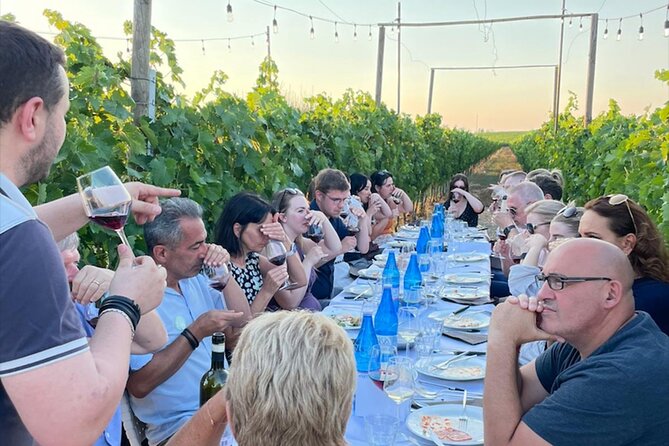 Chianti Half Day Wine Tour From Florence - Customer Feedback and Reviews