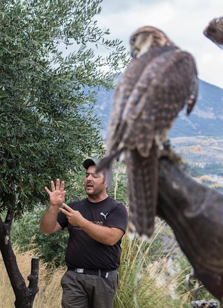 CIVITA EXPERIENCE Borgo Gole Mountain and ... RAPACI of Pollino - Customer Testimonials and Ratings