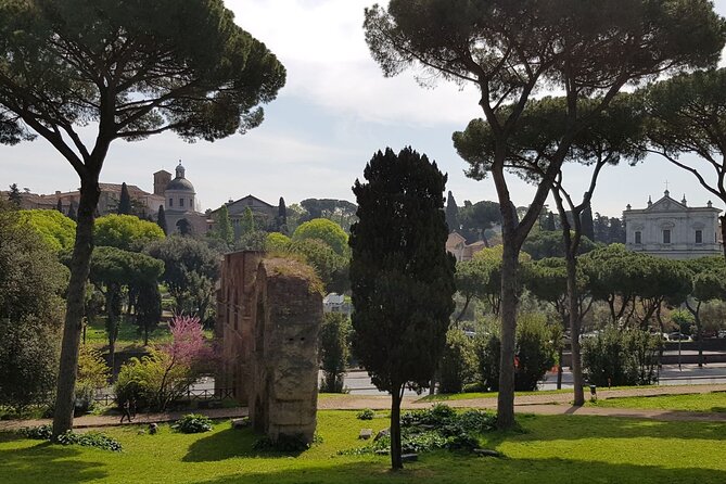 Colosseum Arena Floor and Ancient Rome Semi Private Guided Tour - Essential Requirements and Guidelines