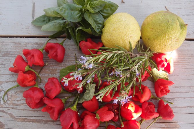 Cooking Class, Traditional Greek Cuisine, on a Greek Island - Fostering Cultural Exchange