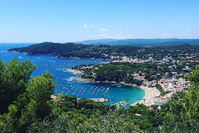 Costa Brava Private Experience by Car With Local Expertise - Accommodating Families and Travelers of All Ages