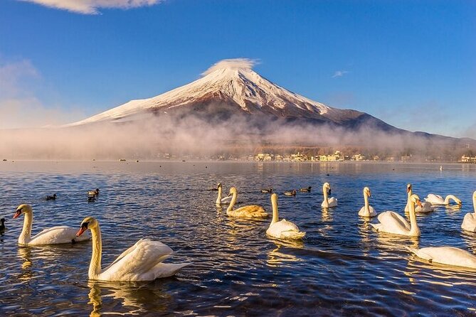 Customizable Private Tour in Mt. Fuji With Private Driver - Visit Saiko Nenba Japanese Traditional Village
