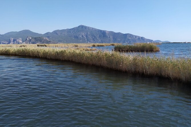 Dalyan Mud Bath and Turtle Beach From Sarigerme - Exploring Dalyans Natural Wonders