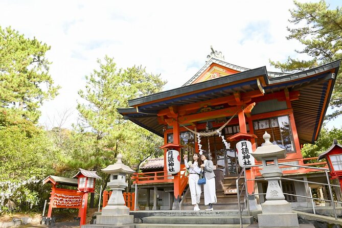 Discover the Wonders of Sakurajima Half Day Tour in Kagoshima - Positive Feedback From Satisfied Customers
