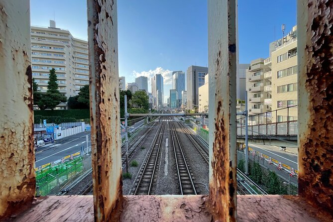 Discover Tokyo: 3-Hour Private Guided Photo Walking Tour - Positive Traveler Experiences