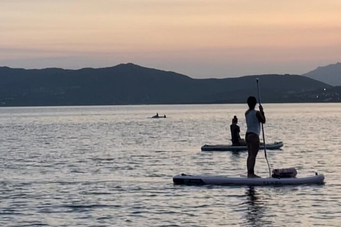 Dolphin Watching SUP Tour With Golfo Aranci Aperitif - Booking and Cancellation Policy