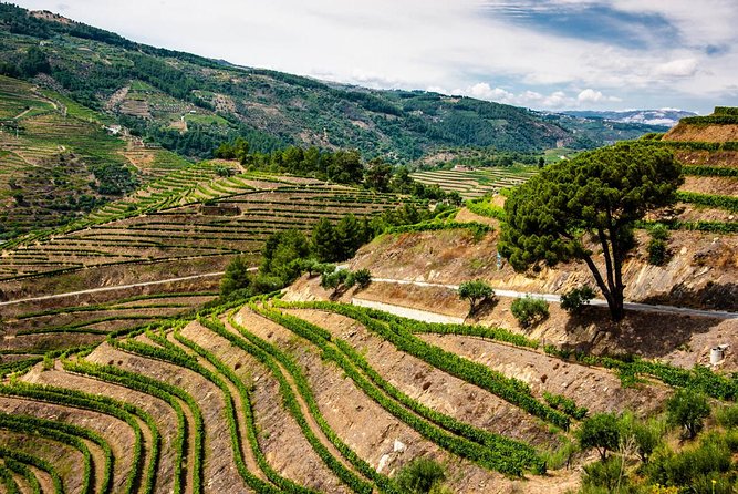 Douro Valley EXCLUSIVE Private Day Trip by Car With Boat Included - Relaxing Boat Ride on the Douro River