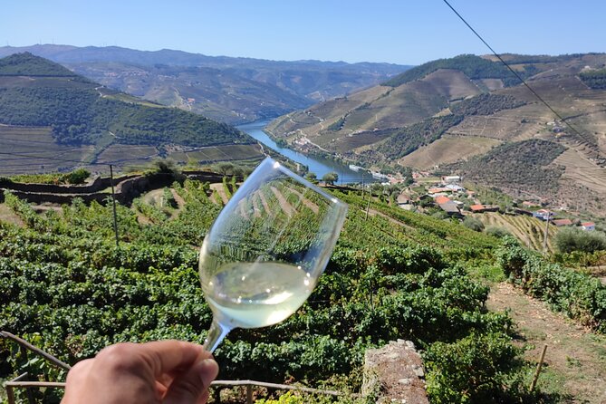 Douro Valley Premium Tours Review: Exceptional Experience - Highlights of the Douro Valley Experience
