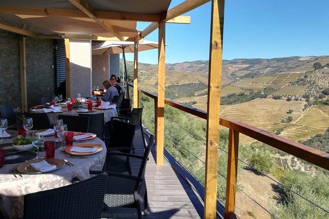 Douro Valley Private Wine Tour From Lisbon - Indulging in Wine Tastings