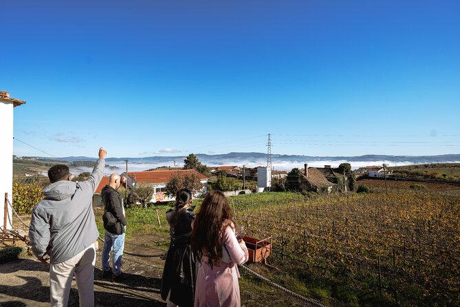 Douro Valley With Tastings, Lunch in a Winery and Boat Tour - Positive Feedback From Previous Guests