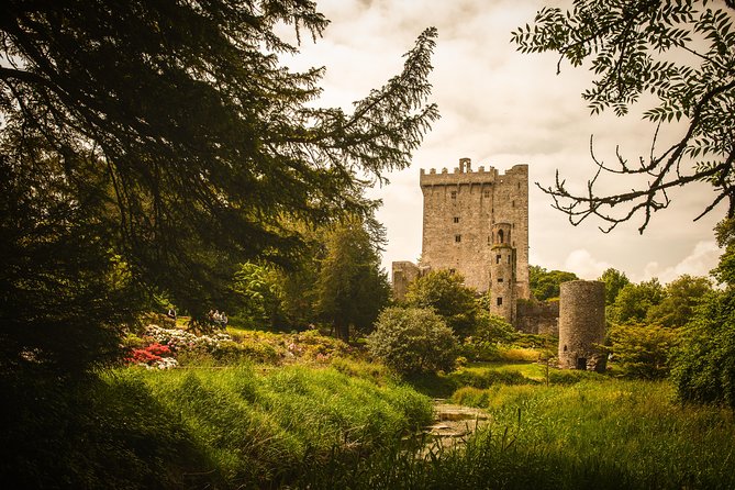 Dublin to South West 5 Day Small-Group Tour With Accommodation - Important Considerations