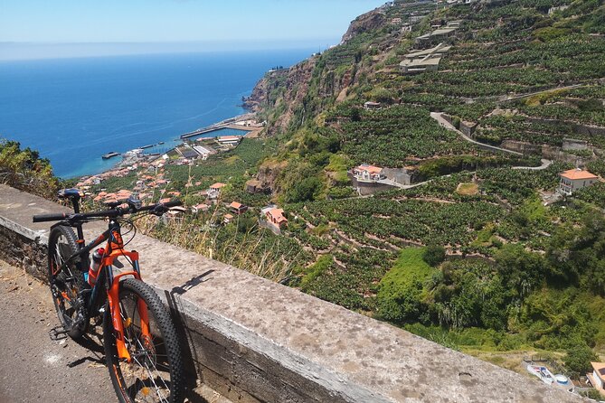 Electric Bike Tour in Northern Madeira - Positive Feedback