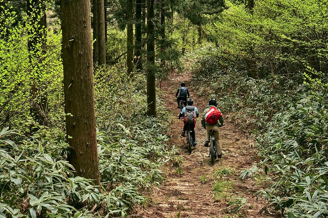 Emtb Tour to See the Beautiful Islands From the Summit - Enjoying the Onsen Experience