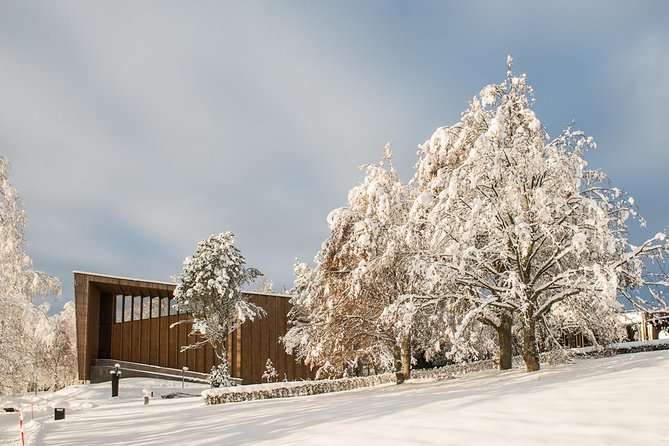 Entry Ticket to Amazing Serlachius in Tampere Region - Highlights of Serlachius Museum Gosta