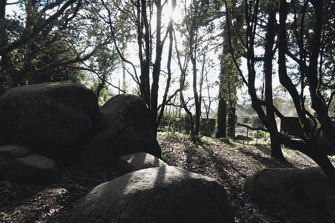 Epic Off-Road Adrenaline in Sintra - Getting There