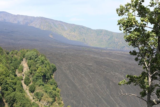 Etna & Alcantara Tour Experience - Highlights of Etna & Alcantara Tour