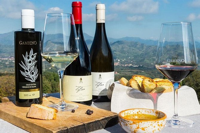 Etna Panoramic Private Tour+Wine Taste&Food Combination(AMAZING) - Scenic Drives and Charming Villages