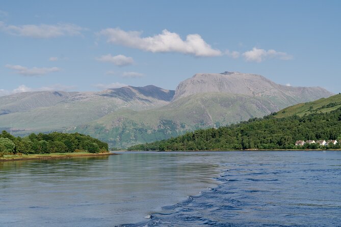 Evening Cruise in Scotland - Seasonal Variations and Wildlife Sightings