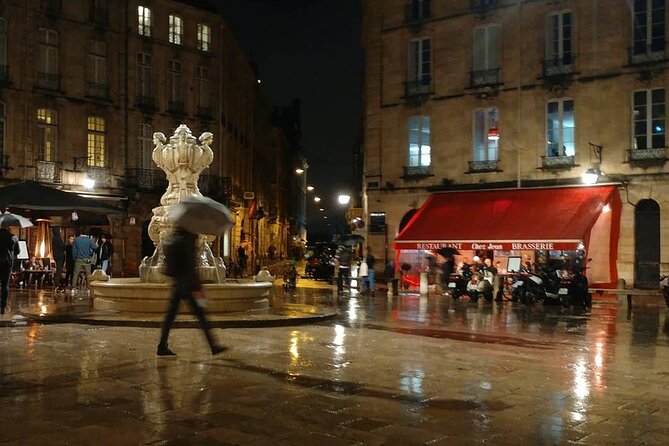 Exclusive ! Discover Vibrant Bordeaux at Night :Night Tour! - Traveler Reviews and Experiences
