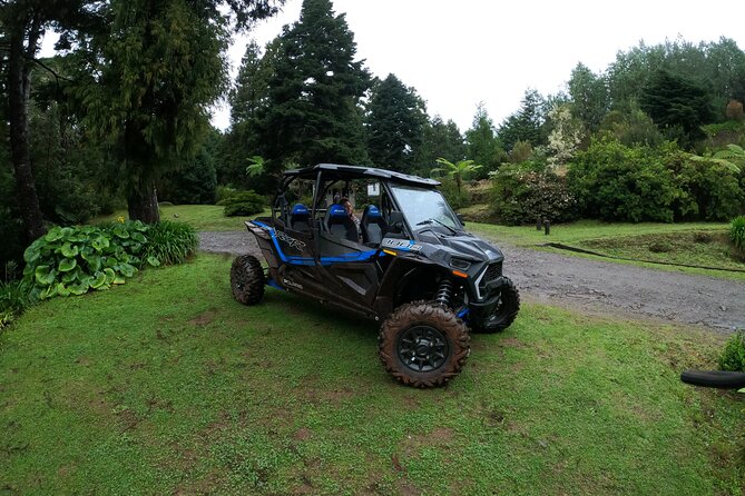 Exclusive Private Buggy Adventure: Forest and Mountains - Traveler Feedback and Testimonials