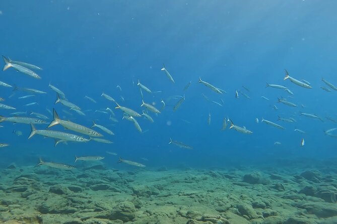 Experience Scuba Diving in Heraklion Crete - Diving in Heraklion, Crete