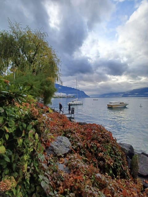 Explore Montreux in 90 Mins: From Lord Byron to Queen - Breathtaking Vistas of Lake Geneva and the Alps