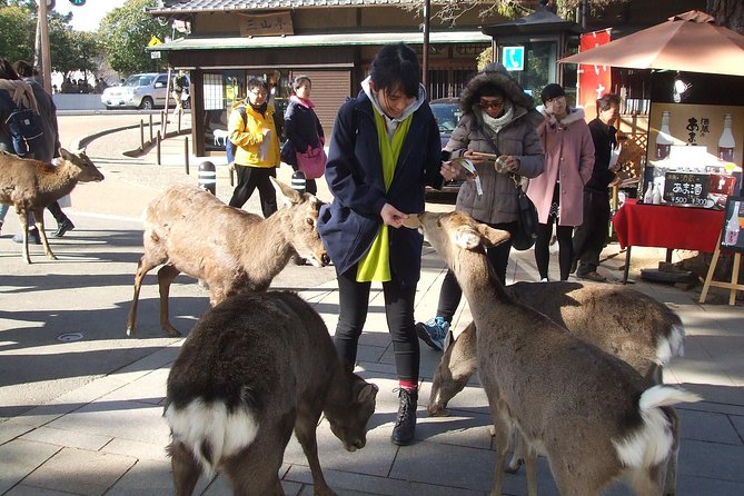 Exploring Nara - Inclusions and Additional Information