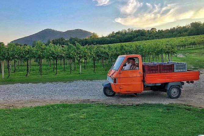 From Abano Montegrotto Olive Oil & Wine in the Euganean Hills - Preparation Tips for the Tour