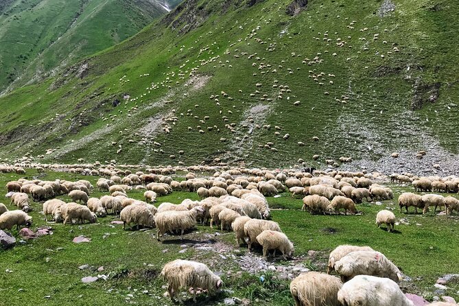 From Tbilisi: Kazbegi Ananuri Gudauri and Trusso Valley by 4x4 - Experience the Unique Landscape of Kazbegi