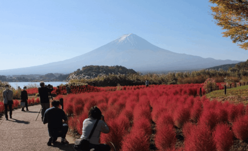 From Tokyo: Mount Fuji Customize Private Tour English Guide - Accessibility and Accommodation