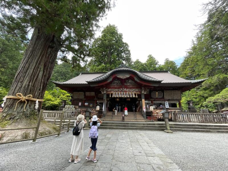 From Tokyo: Mount Fuji Day Trip With English Speaking Driver - Customer Reviews and Feedback